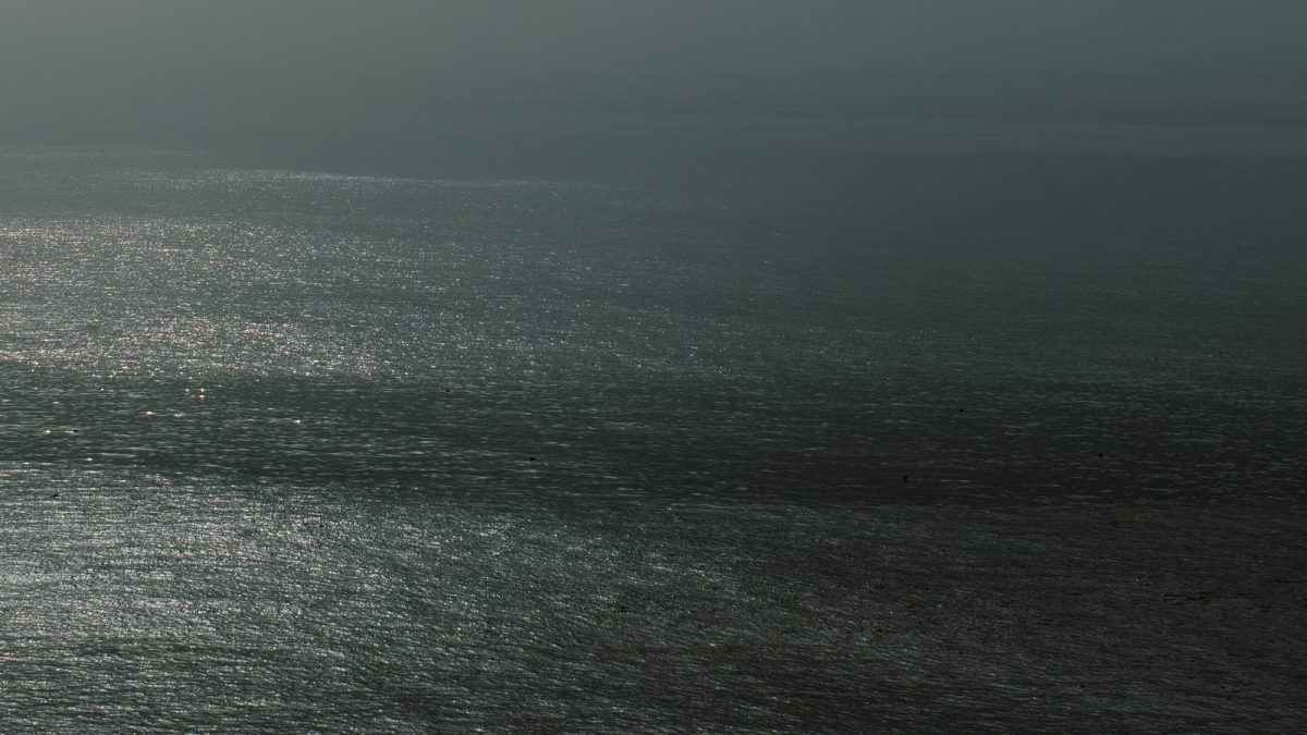 Ali & Roman. Gulls Way Estate. - Nirav Patel | Luxury Fine Art Wedding ...